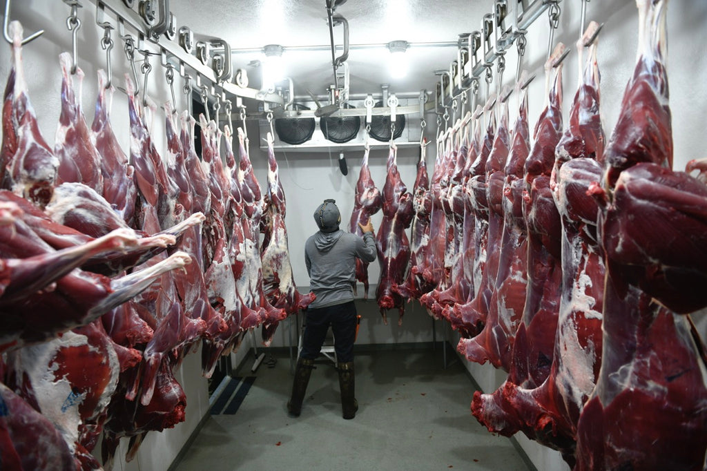 72 Hours with Maui Nui