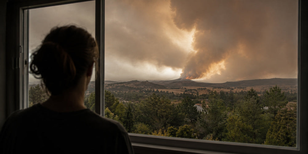 Wildfire Preparedness Checklist: How to Prepare Your Home, Family, and ...